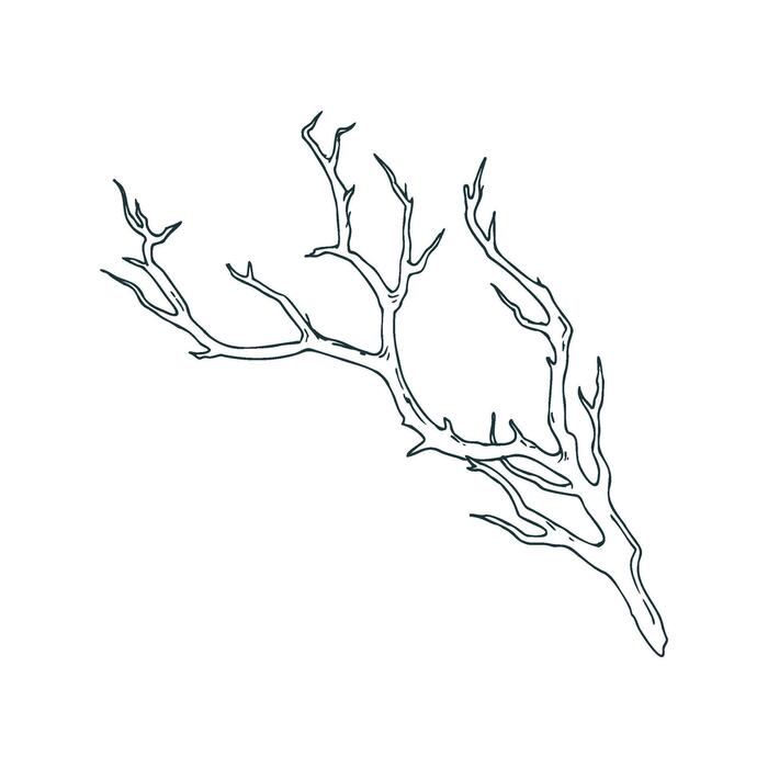 Tree Branch Outline Vector Art, Icons, and Graphics for Free Download