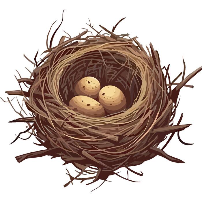 Cartoon Bird Nest Vector Art, Icons, and Graphics for Free Download