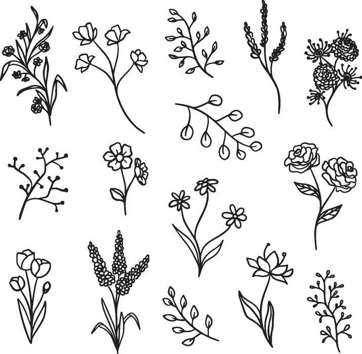 Black Line Flower Vector Art, Icons, and Graphics for Free Download