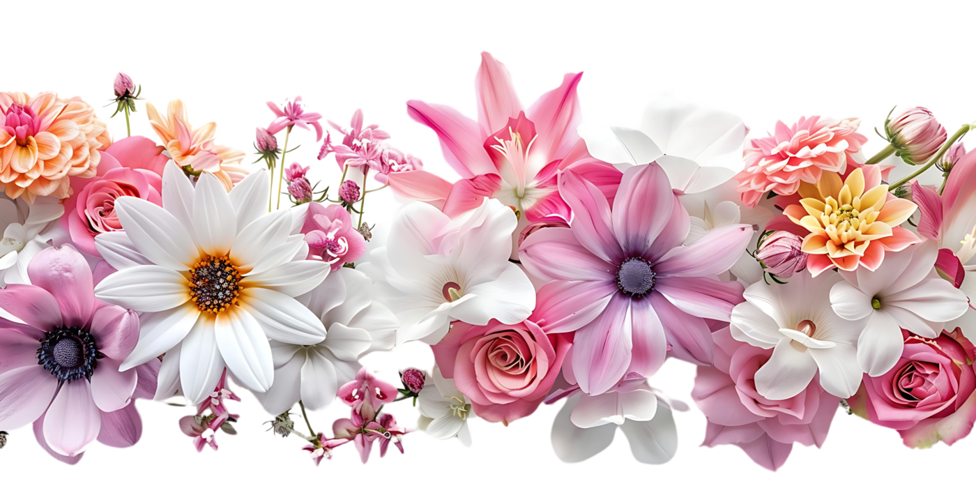Spring Season Flowers Transparent Background PNGs for Free Download
