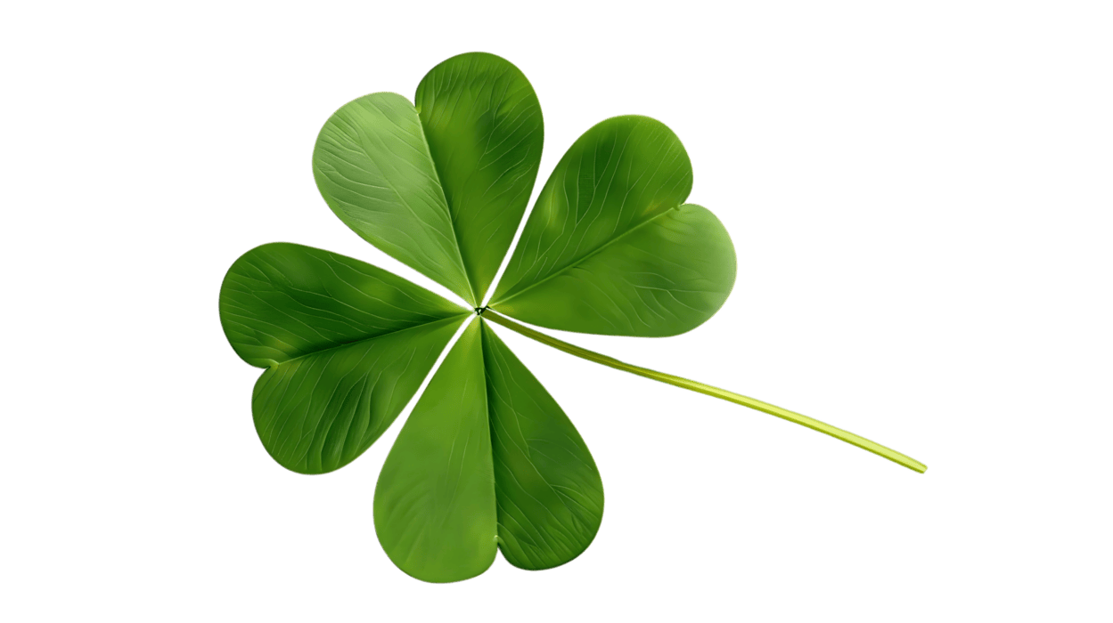 Four Leaf Clovers PNGs for Free Download