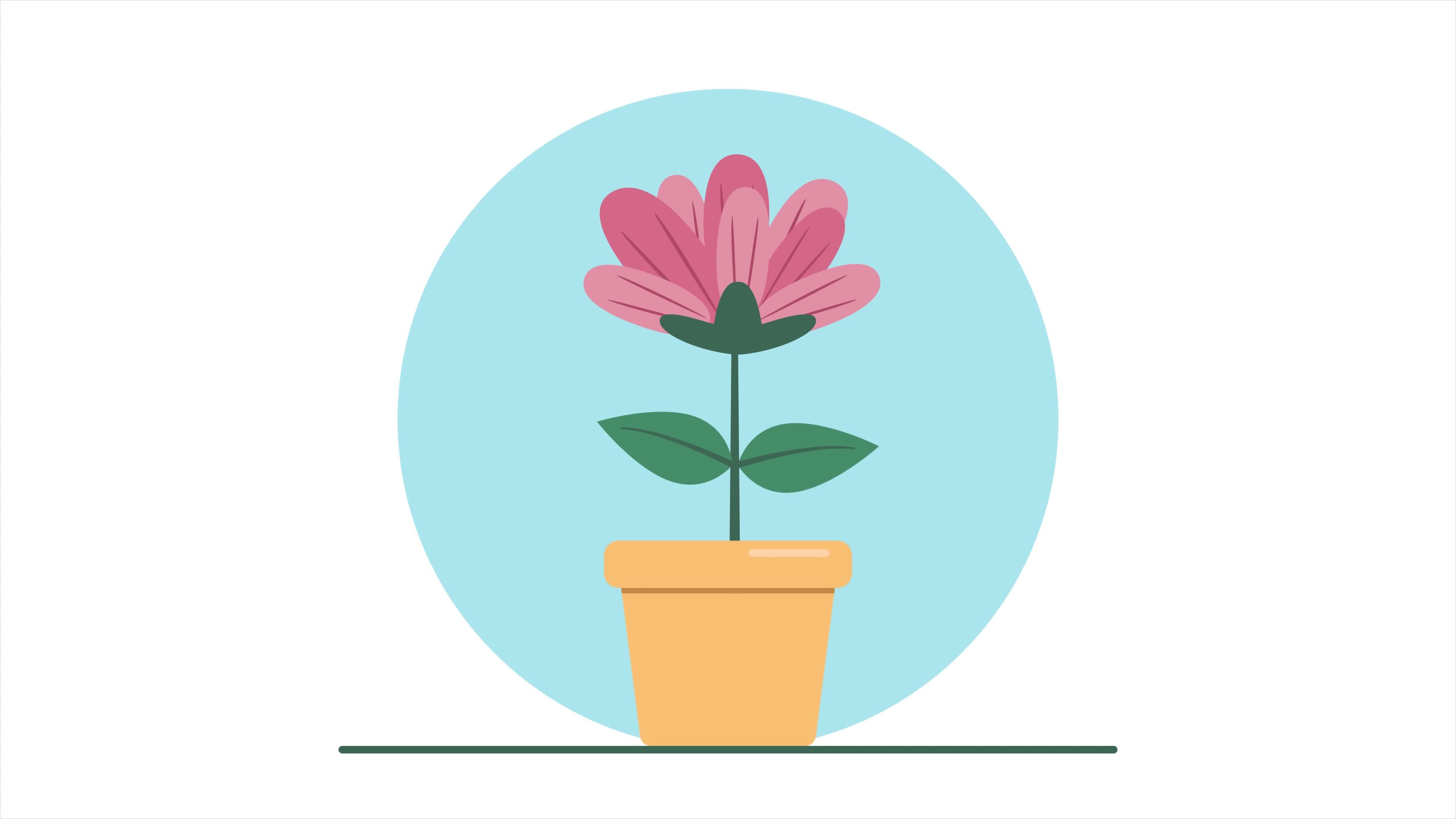 Animated Beautiful flower concept. Full length animation illustration ...