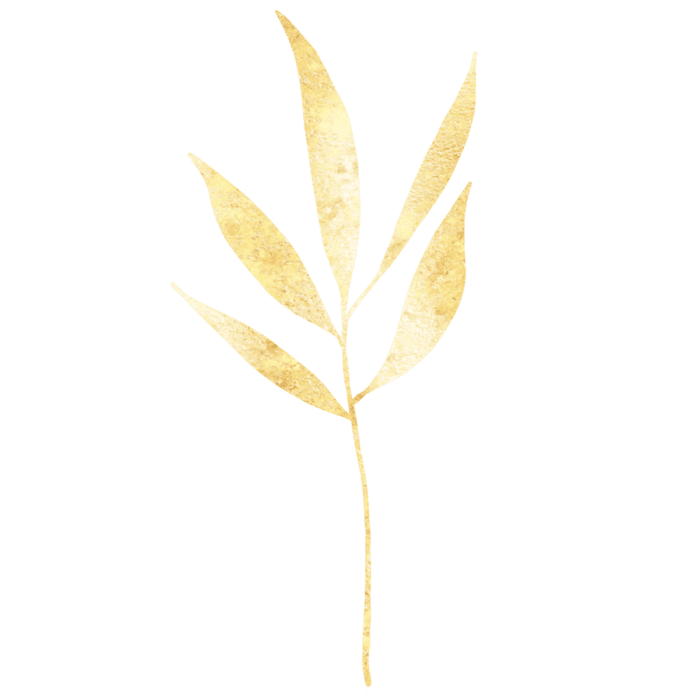 Eucalyptus Leaves Gold PNGs for Free Download