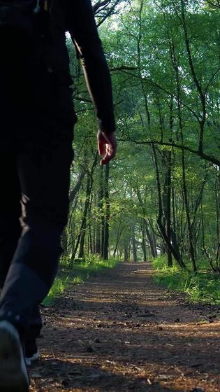 Running Through Trees Stock Video Footage for Free Download