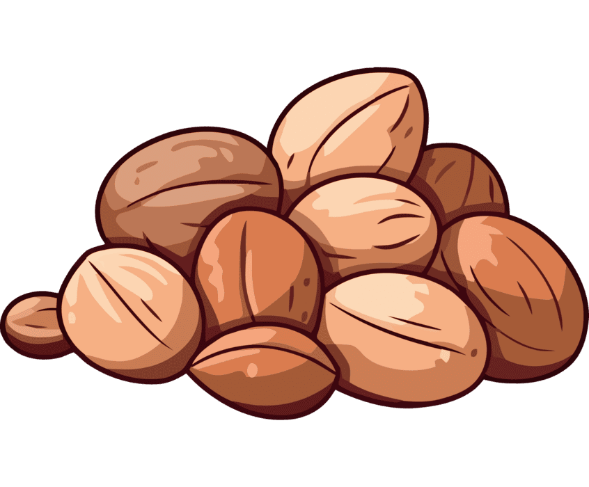 Nuts Clipart