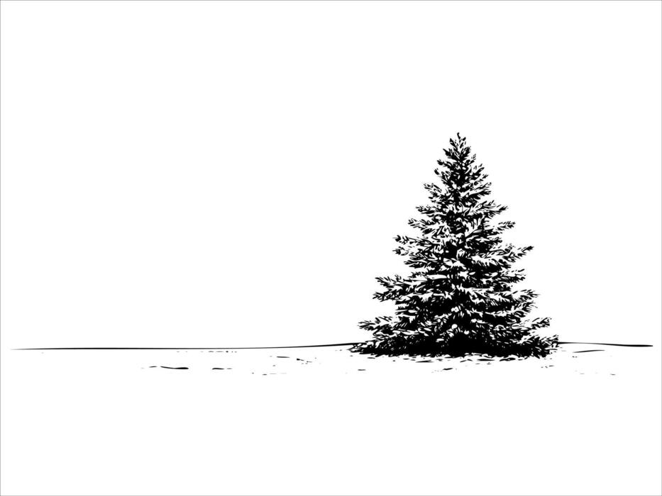 Pine Tree Line Drawing Vector Art, Icons, and Graphics for Free Download