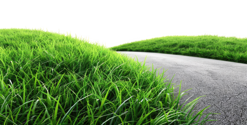 Grass Path Pngs For Free Download