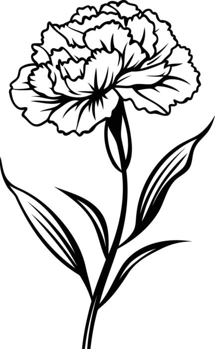 Black Line Flower Vector Art, Icons, and Graphics for Free Download