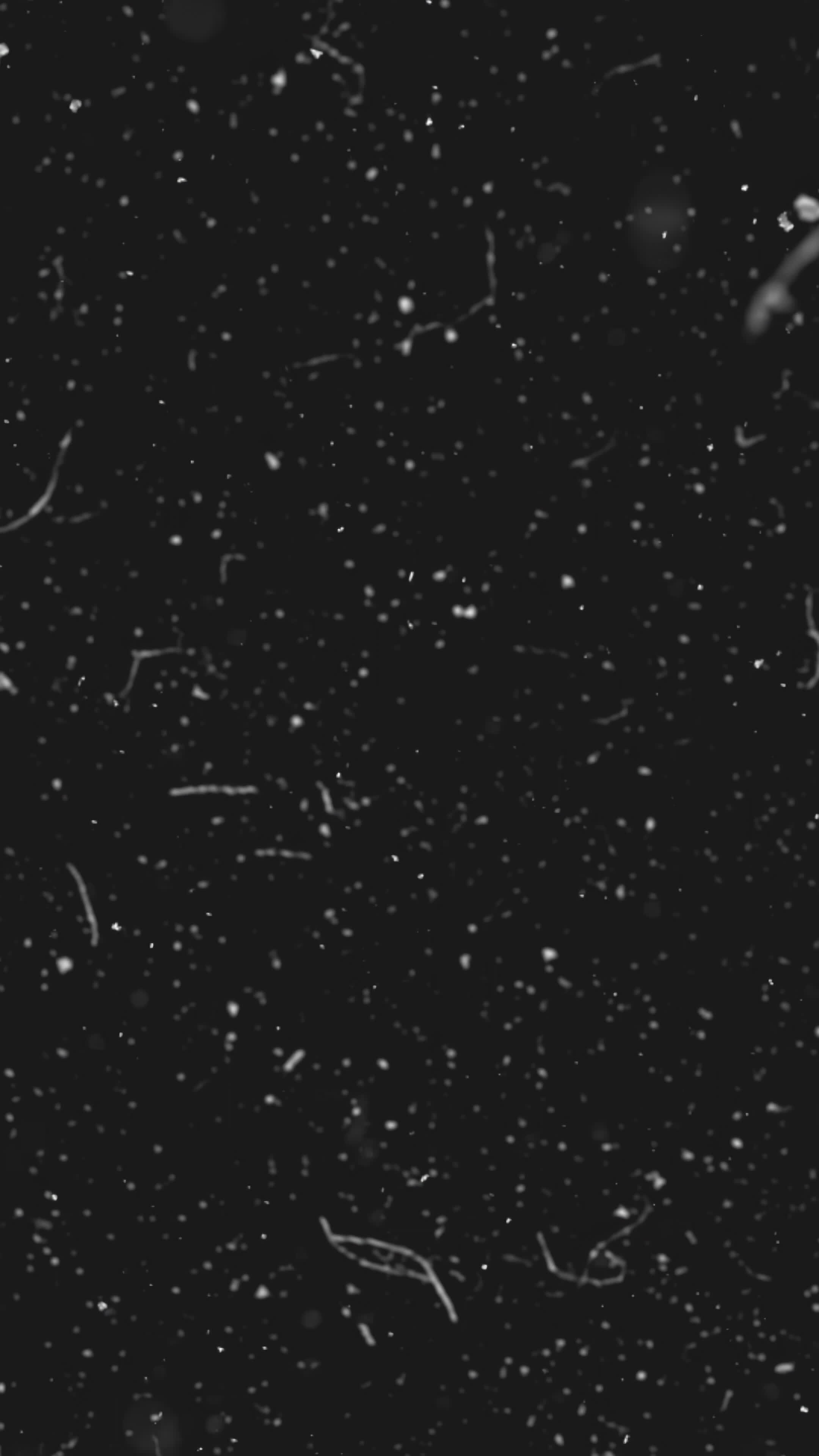 Realistic dust particles on dark background. Abstract animation. White and glow dust particle ...