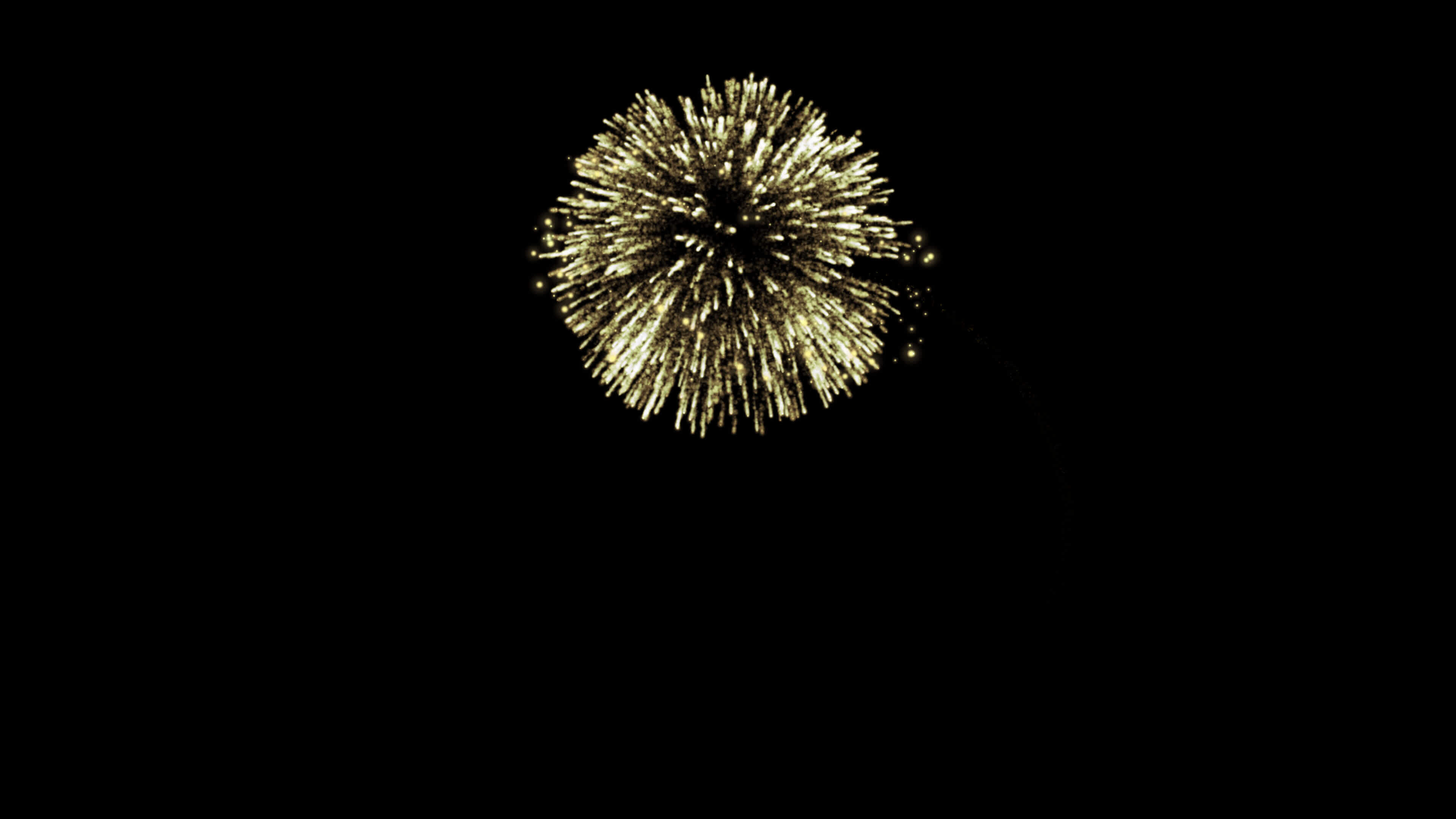 holiday firework explode New Year celebration seamless loop Animation with alpha channel ...