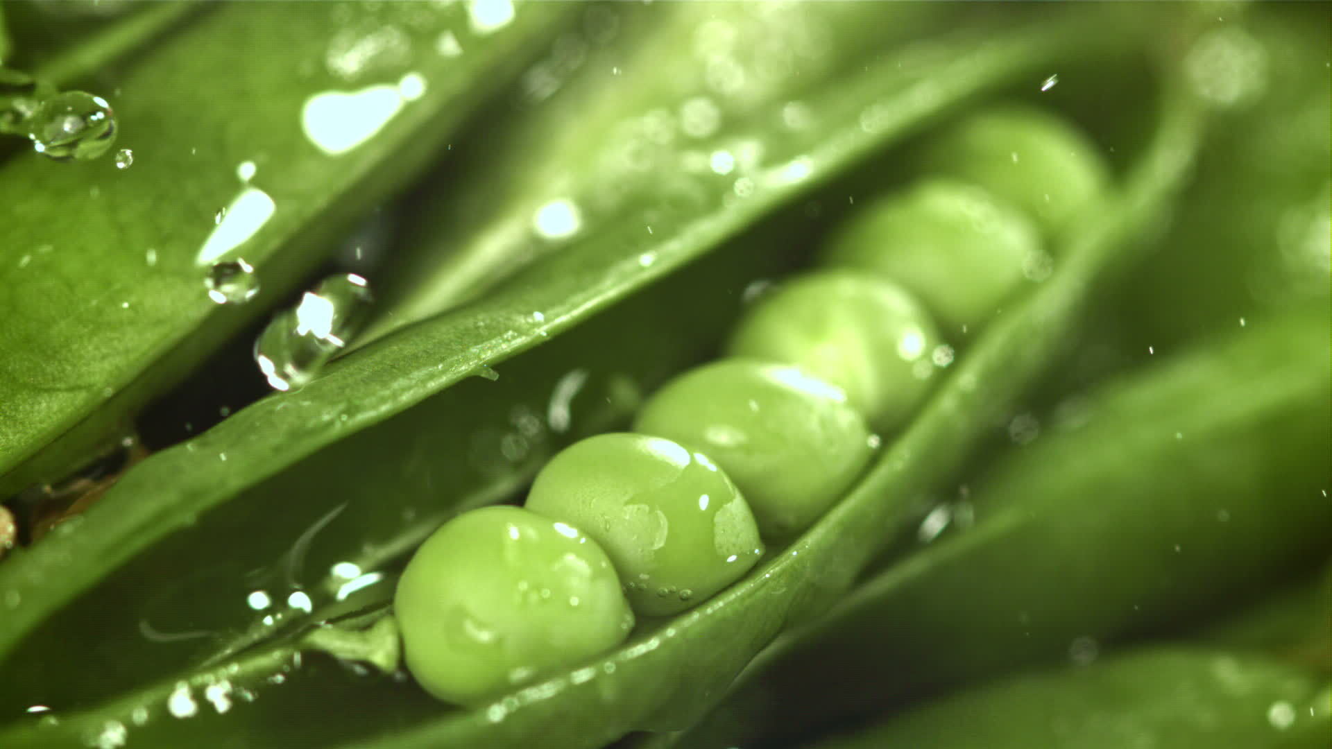 Fresh green peas. Filmed on a high-speed camera at 1000 fps. High ...