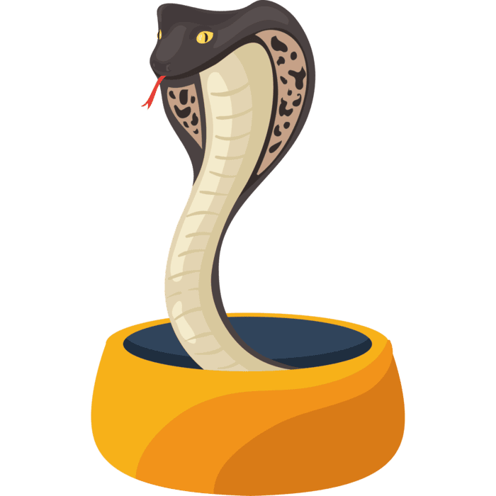 Python Programming Logo PNGs for Free Download