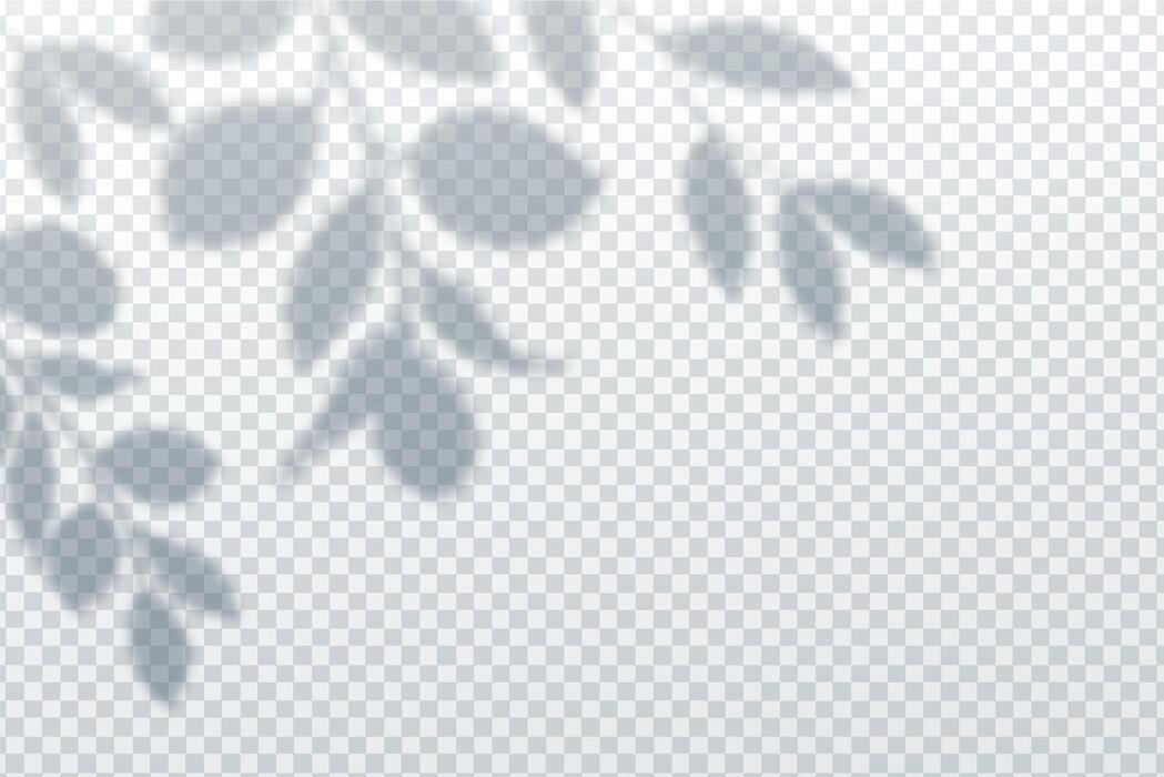 Leaf Shadow Background Vector Art, Icons, and Graphics for Free Download