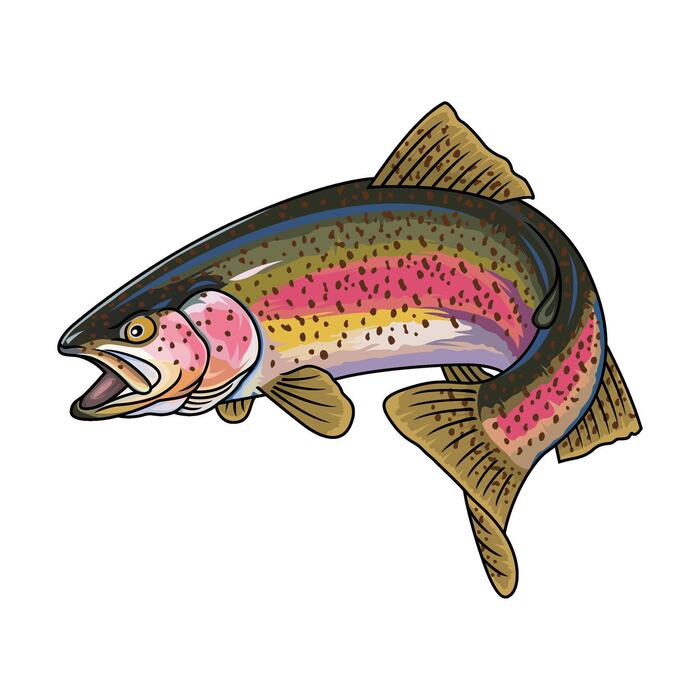 Trout Vector Art, Icons, and Graphics for Free Download