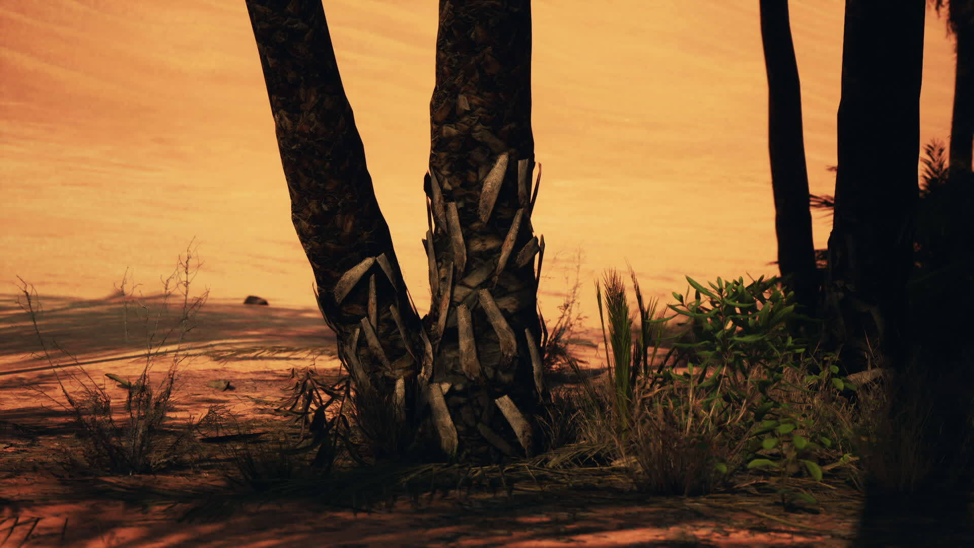 Two Trees Growing Closely Together 49922472 Stock Video at Vecteezy Two Trees Growing Closely Together 49922472 Stock Video at Vecteezy