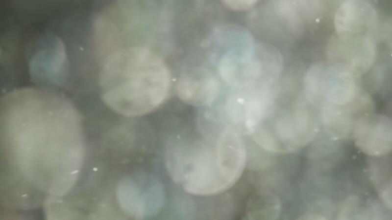 Silver Gleam Atmosphere 49982914 Stock Video at Vecteezy