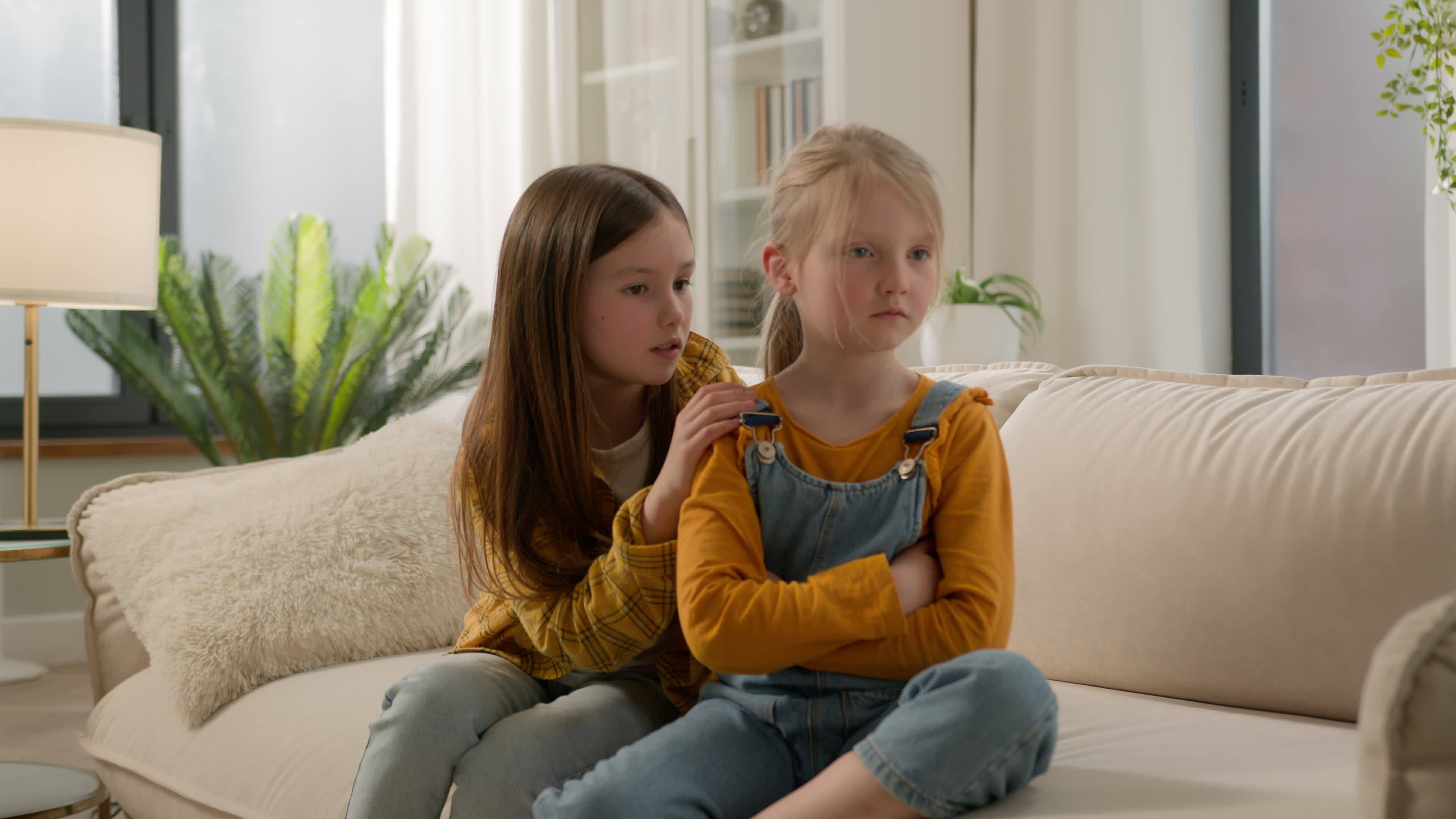 dos pequeño caucásico niños niños hermanos hijas muchachas argumento arrepentido hermana ...