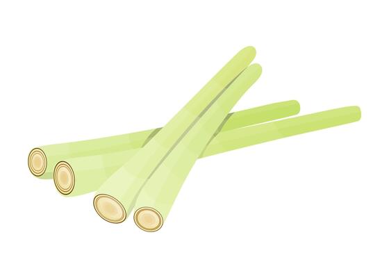 Lemongrass Vector Art Icons And Graphics For Free Download