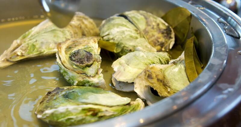 boiled oysters strain the water in a large pan for a buffet table a lot of oysters in shells ...