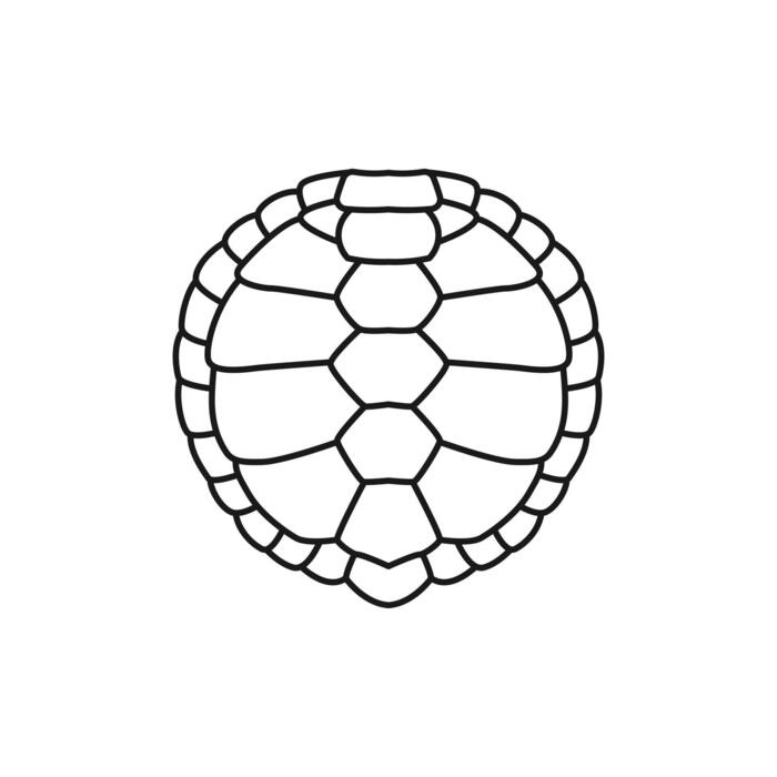 Turtle Shell Pattern Vector Art, Icons, and Graphics for Free Download