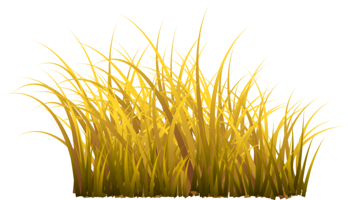 Brown Grass Pngs For Free Download