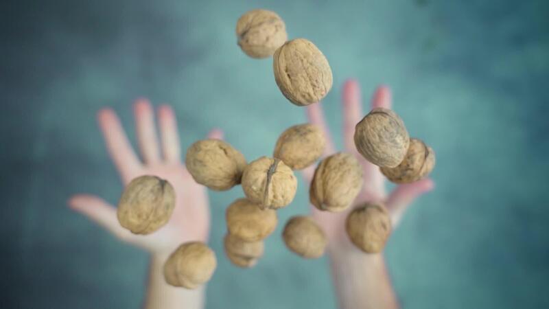 Throwing up and catching walnuts with both hands macro 50885012 Stock ... Throwing up and catching walnuts with both hands macro 50885012 Stock ...