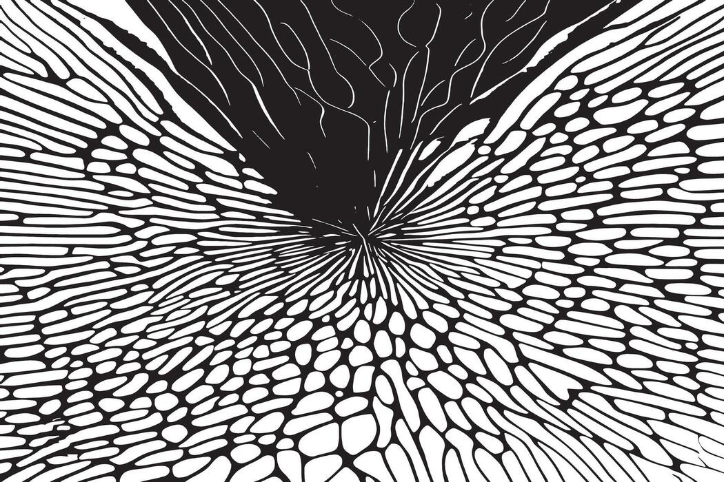 Distorted Pattern Texture Vector Art, Icons, and Graphics for Free Download