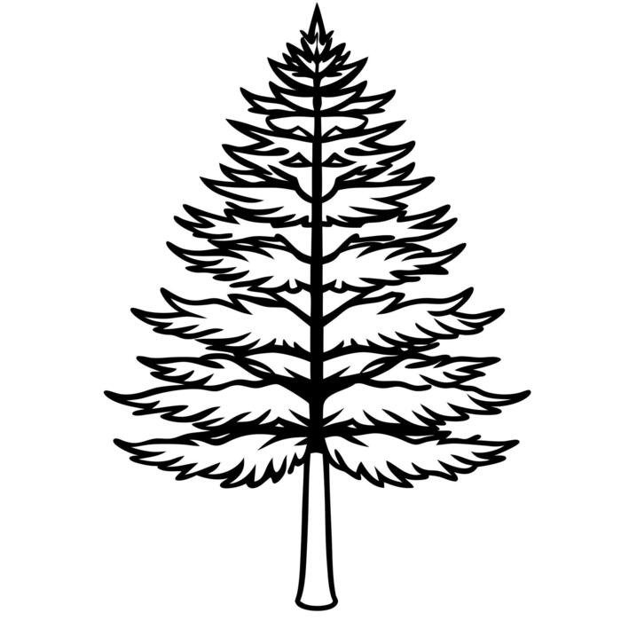 Pine Tree Outline Vector Art, Icons, and Graphics for Free Download