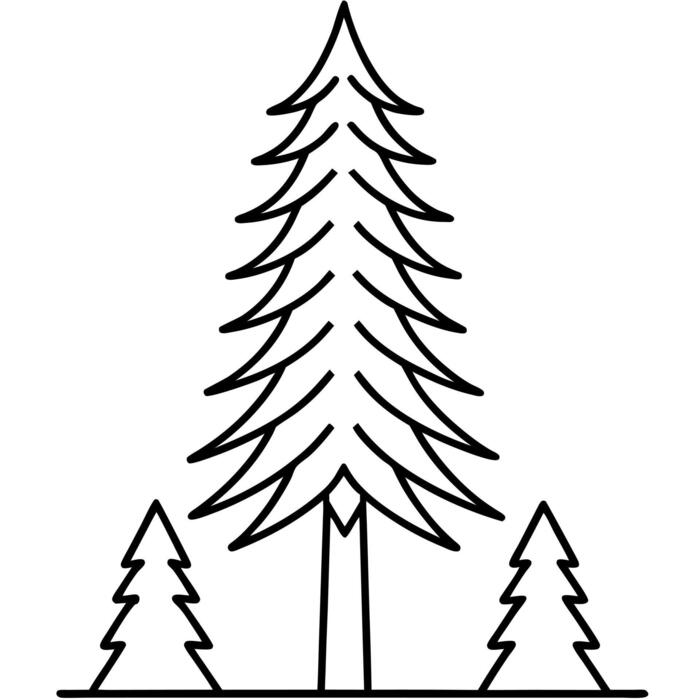 Pine Tree Line Drawing Vector Art, Icons, and Graphics for Free Download