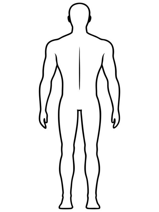 Human Outline Vector Art, Icons, and Graphics for Free Download