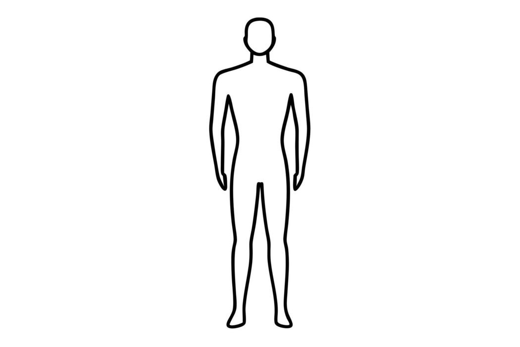 Human Body Outline Vector Art, Icons, and Graphics for Free Download
