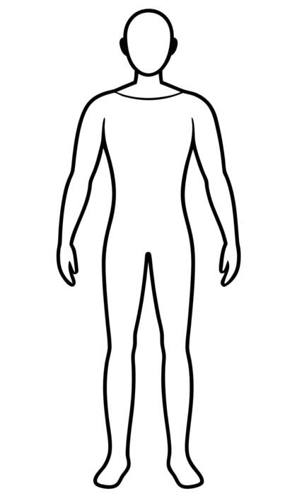 Human Body Outline Vector Art, Icons, and Graphics for Free Download