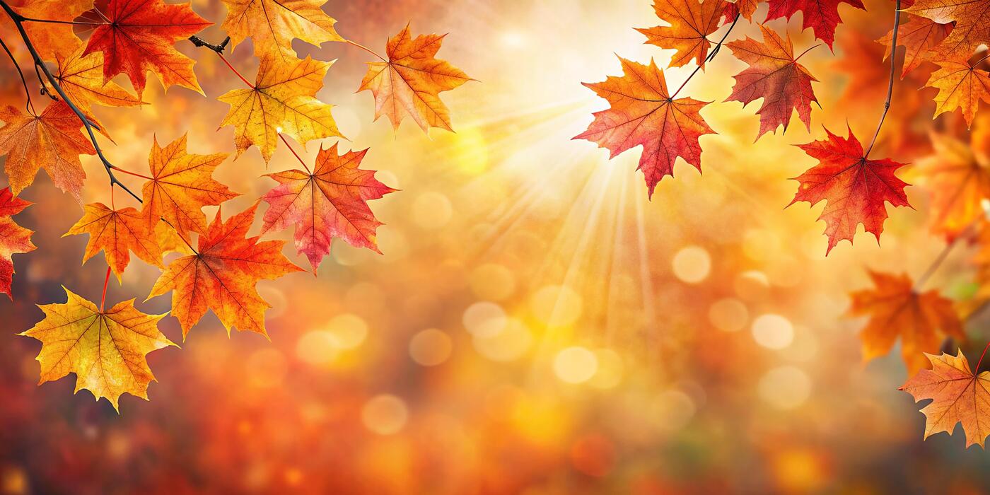 Fall Autumn Background Stock Photos, Images and Backgrounds for Free ...