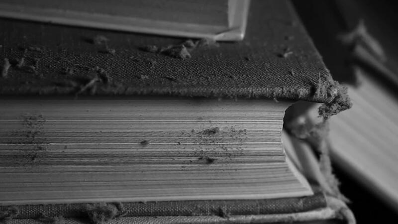 Black And White Book Stock Video Footage for Free Download