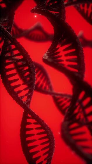 Structure Of The Dna Double Helix Animation 51044003 Stock Video At