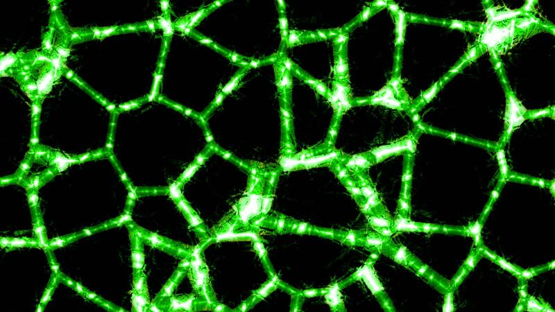 Abstract neural networks in motion. Design. Abstract biological neural ... Abstract neural networks in motion. Design. Abstract biological neural ...