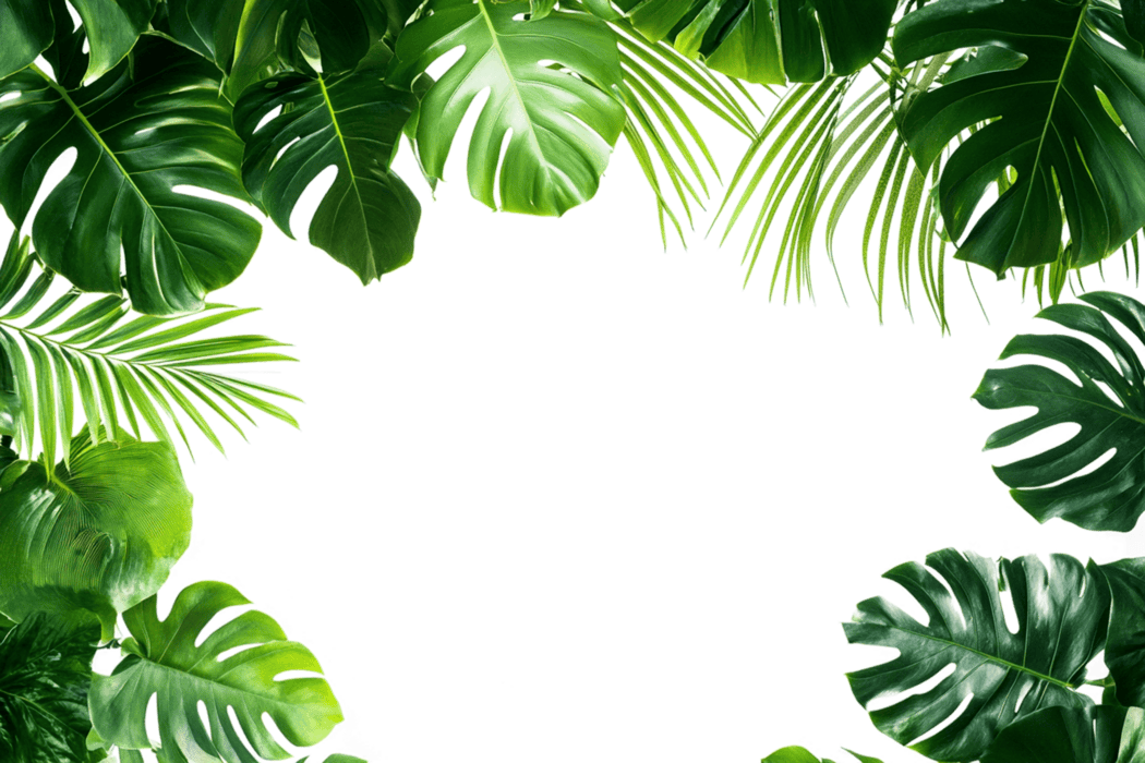 Jungle Animals Frame PNGs for Free Download