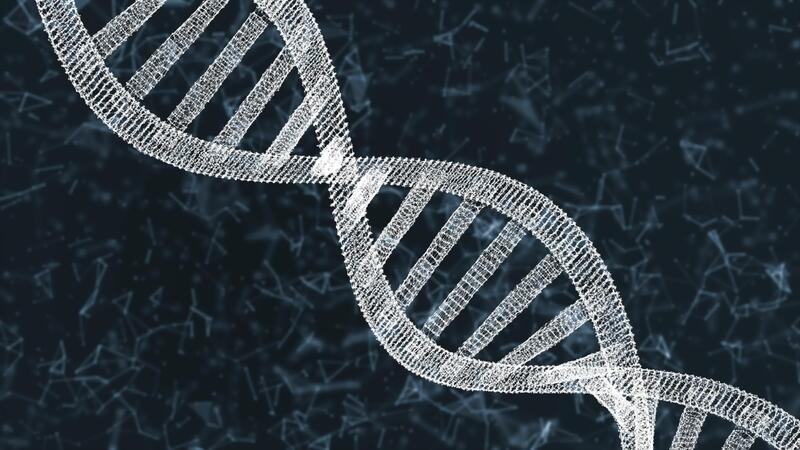 Deoxyribonucleic acid. DNA Plexus Particle 3D Animation. DNA Strand. 4K 51279608 Stock Video at ...