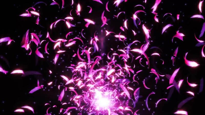 Purple Feather Animation 51294642 Stock Video at Vecteezy Purple Feather Animation 51294642 Stock Video at Vecteezy