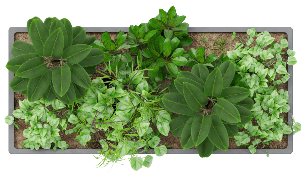 Landscape Plants PNGs for Free Download