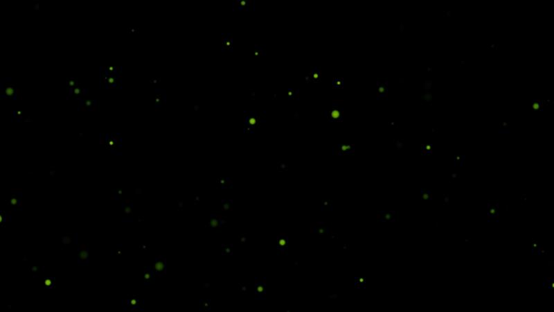Animation Loop Green Bokeh Particles Flow On Black Abstract Background 51583870 Stock Video At