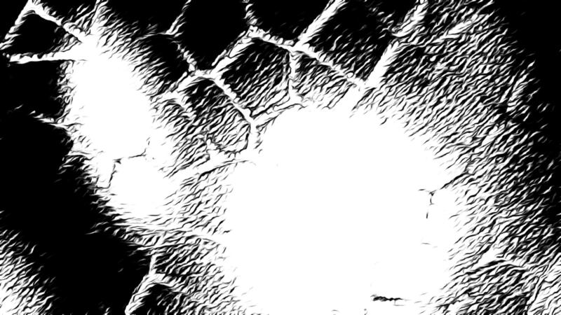 Abstract Monochrome Moving Cells Motion Biological Background With Black And White Shapes