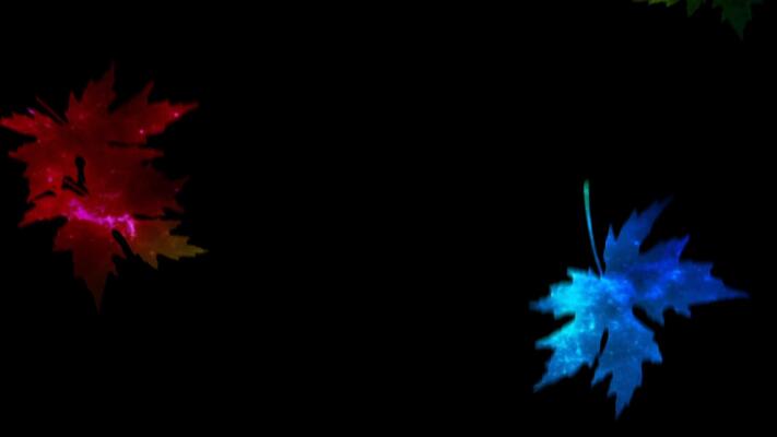 Animated Background Leaves Stock Video Footage for Free Download