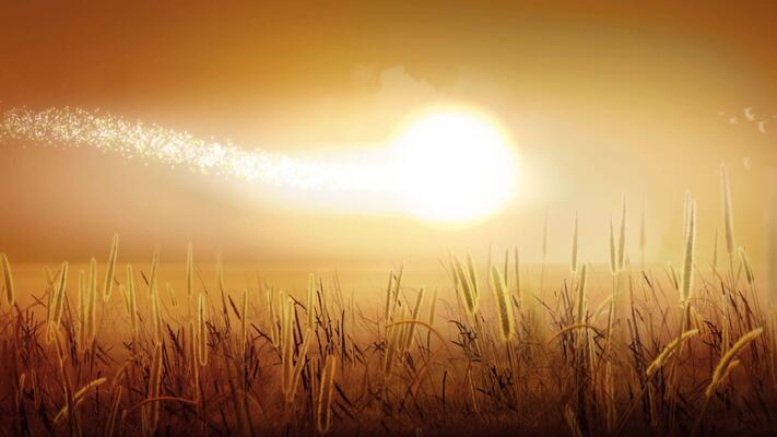 Family Tree Animation Stock Video Footage for Free Download