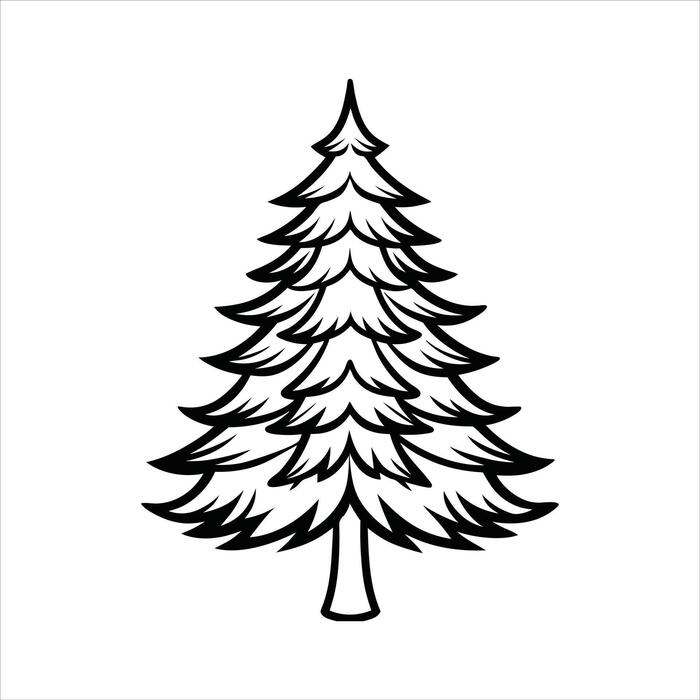Simple Pine Tree Outline Vector Art, Icons, and Graphics for Free Download