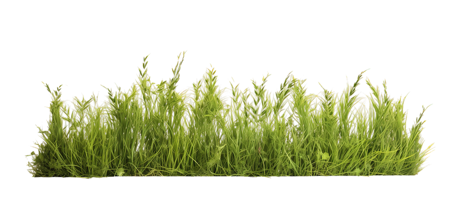 Grass Texture Pngs For Free Download