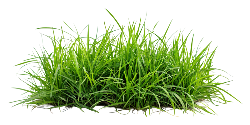 Grass Texture Pngs For Free Download