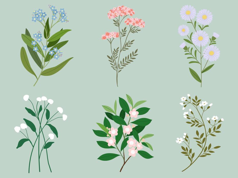 Spring Flowers Vector Art, Icons, and Graphics for Free Download