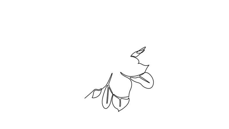 Animated Self Drawing Of Continuous Line Draw Fresh Beauty Adenium For