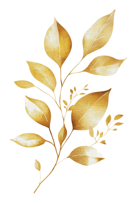 Golden Leaves PNGs for Free Download